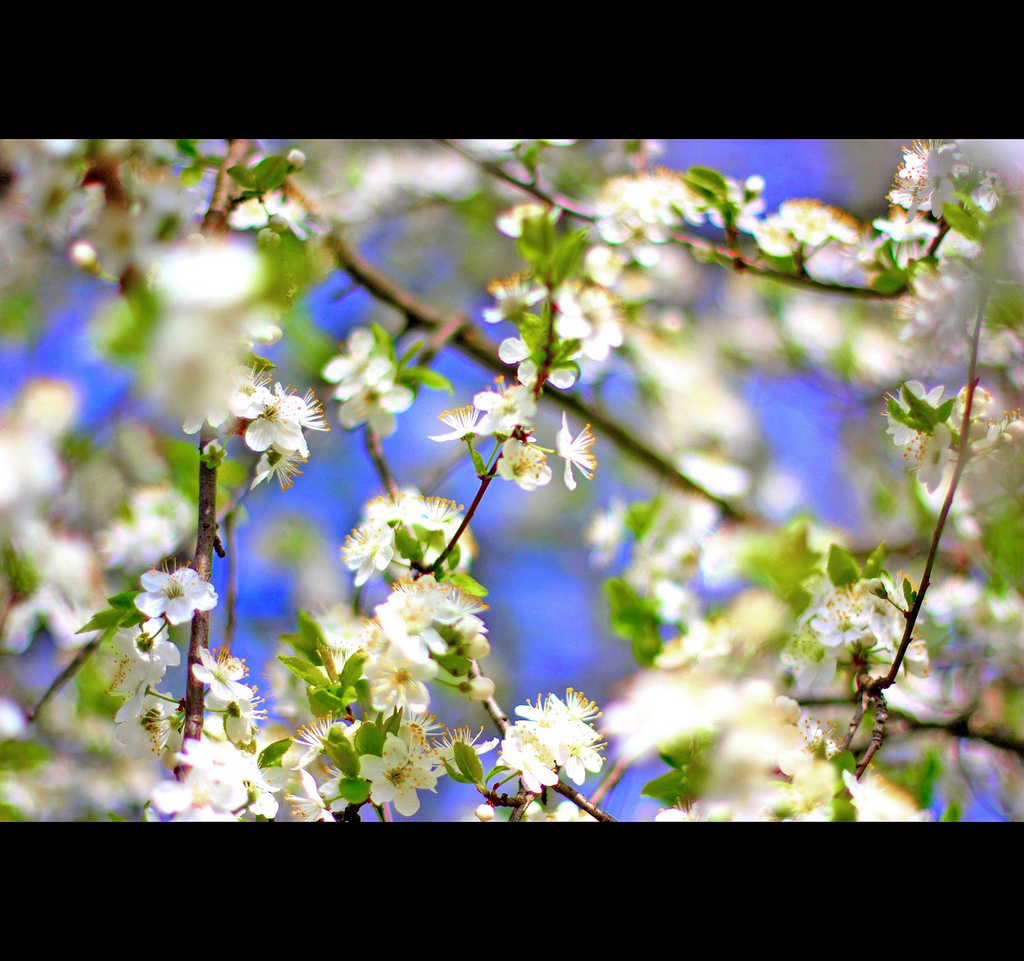 3 Ideal Spring Colour Schemes for Your Conservatory | The House Shop Blog