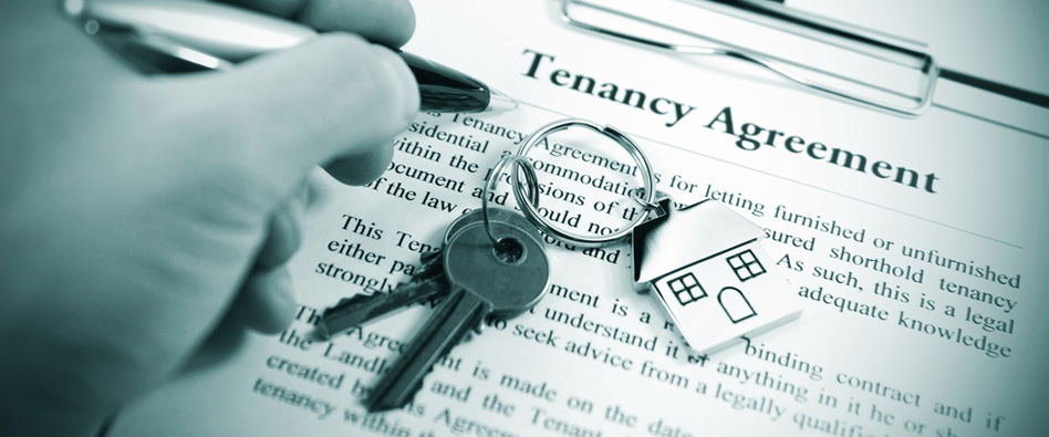 4 Tips When Looking For A Property To Rent | The House Shop Blog